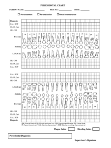 Printable Tooth Chart Full Sheet - Printable JD