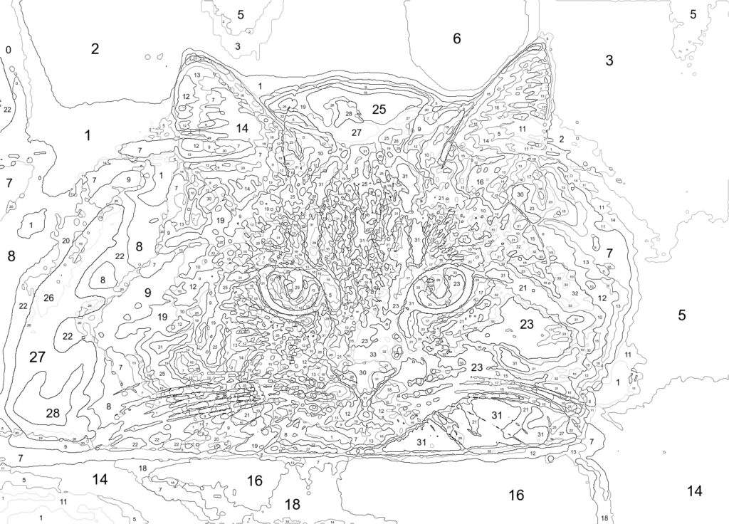 Printable Adult Paint by Numbers - Printable JD