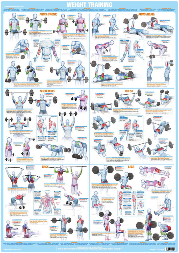 Printable Weight Lifting Workouts Charts - Printable JD