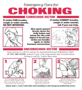 Printable First Aid Choking Poster - Printable JD