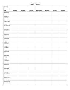 Printable Hourly Calendar Template - Printable JD
