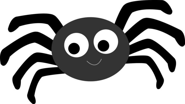 Printable Spider Template - Printable JD