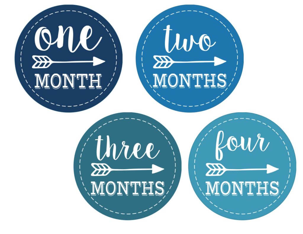 Printable Baby Monthly Signs - Printable JD