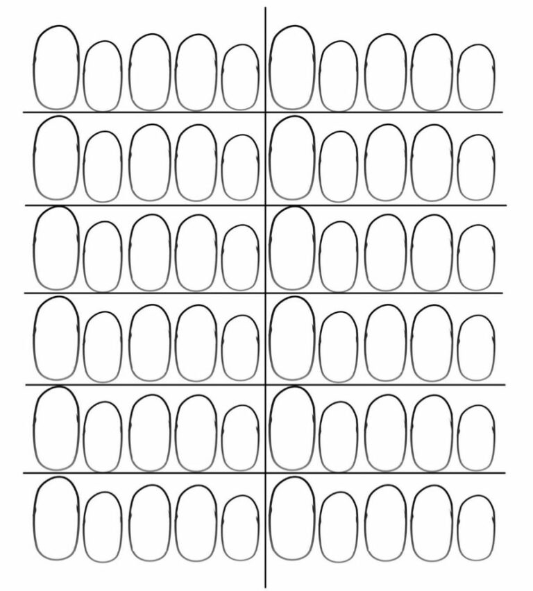 Blank Nail Templates Printable - Printable JD