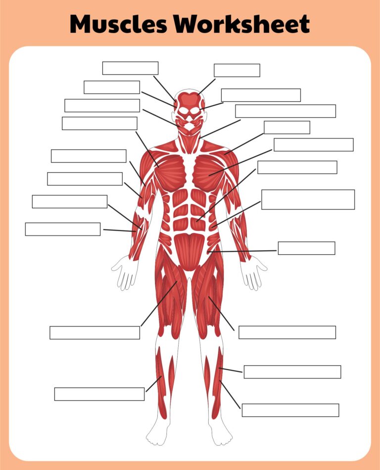 Free Printable Human Body Worksheets - Printable JD