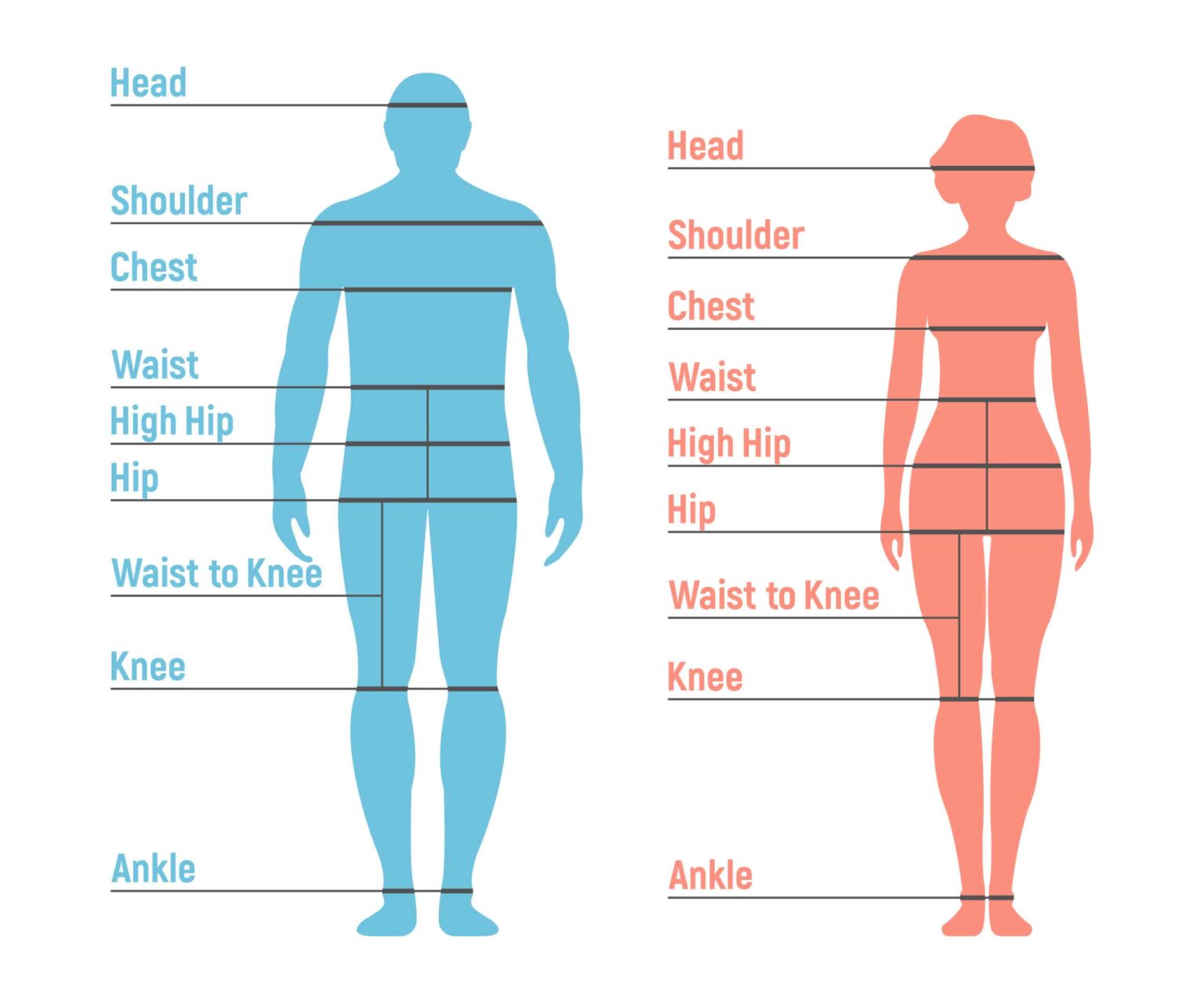 Printable Diagram Of Body - Printable JD